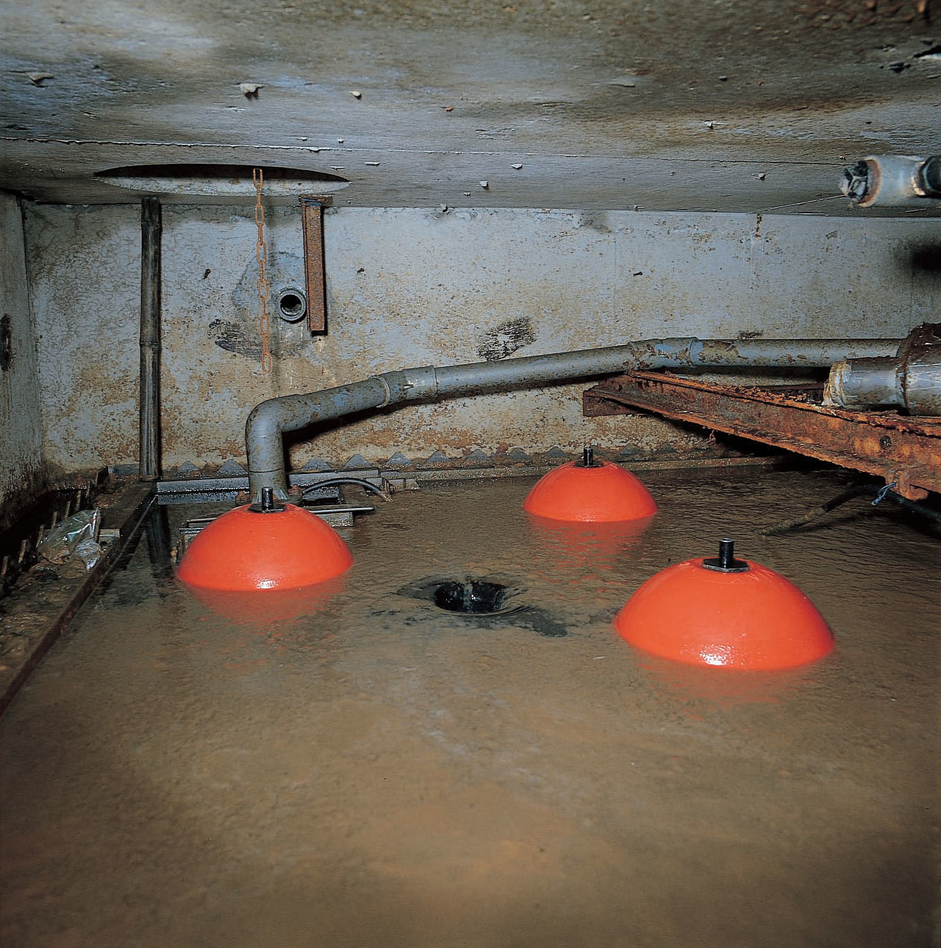 Electric scum skimmer Tsurumi 4-FSP2 | isprzet.pl online store