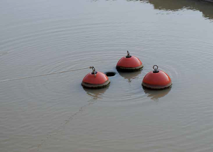 Electric scum skimmer Tsurumi 4-FSP2 | isprzet.pl online store